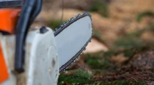 How Does a Chainsaw Work? - Chainsaw Larry