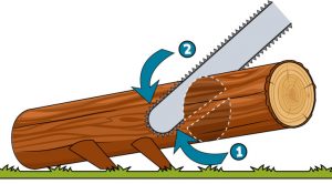 Proper Chainsaw Techniques (for Cutting Trees, Logs & Stumps ...